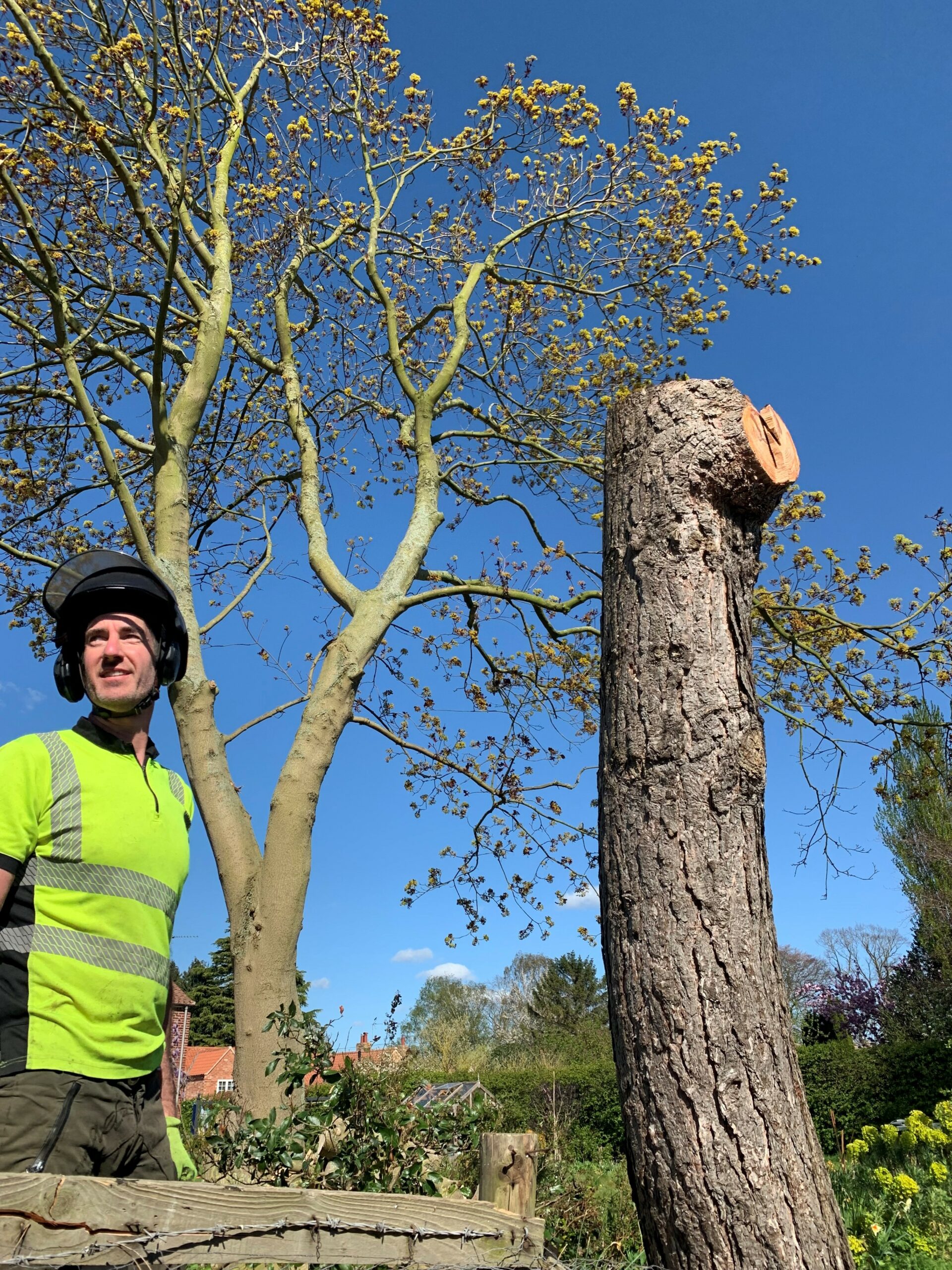 Commercial Tree Surgery – Hunton Trees